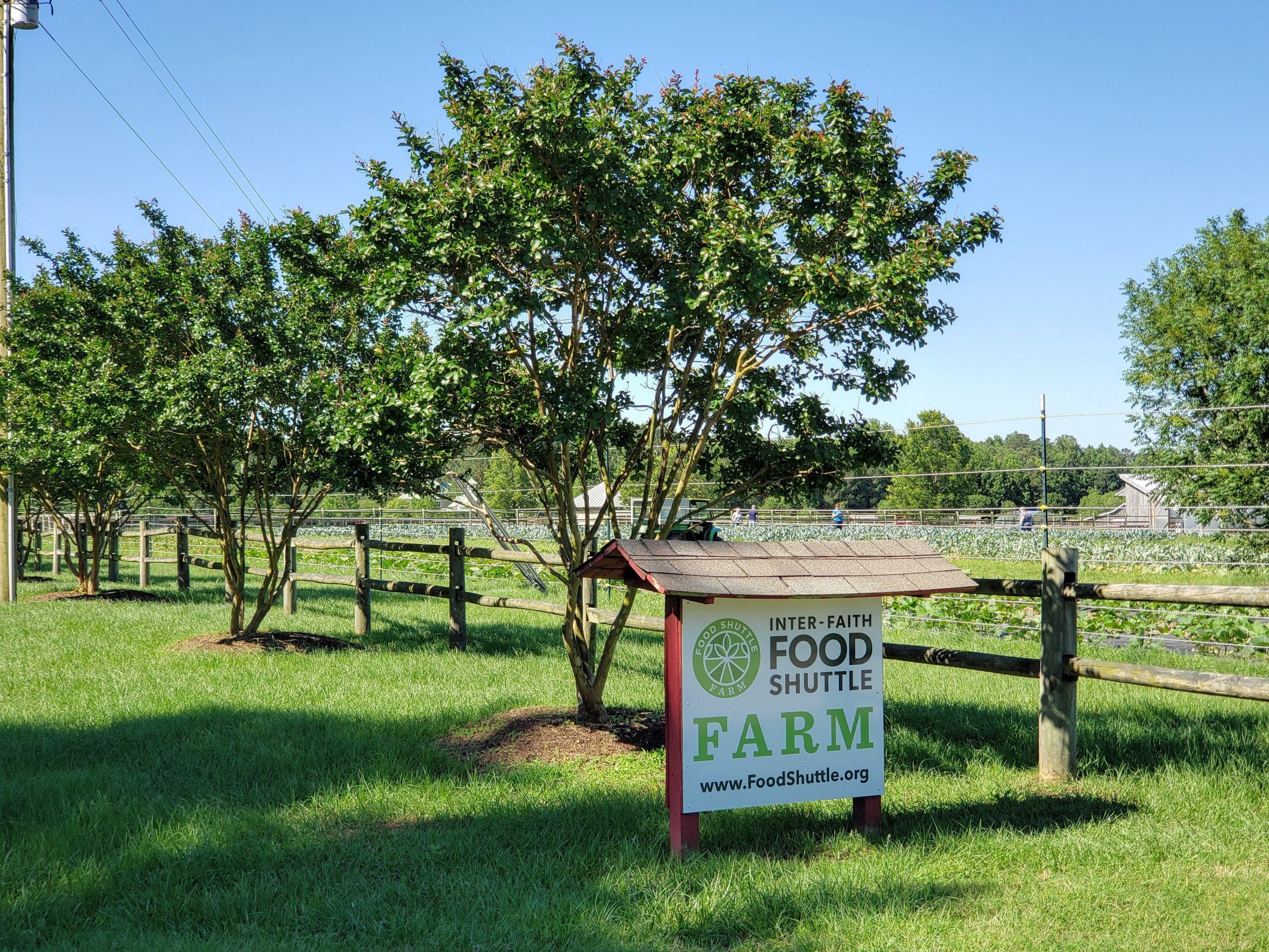WithersRavenel helps Inter-Faith Food Shuttle make a difference with ...