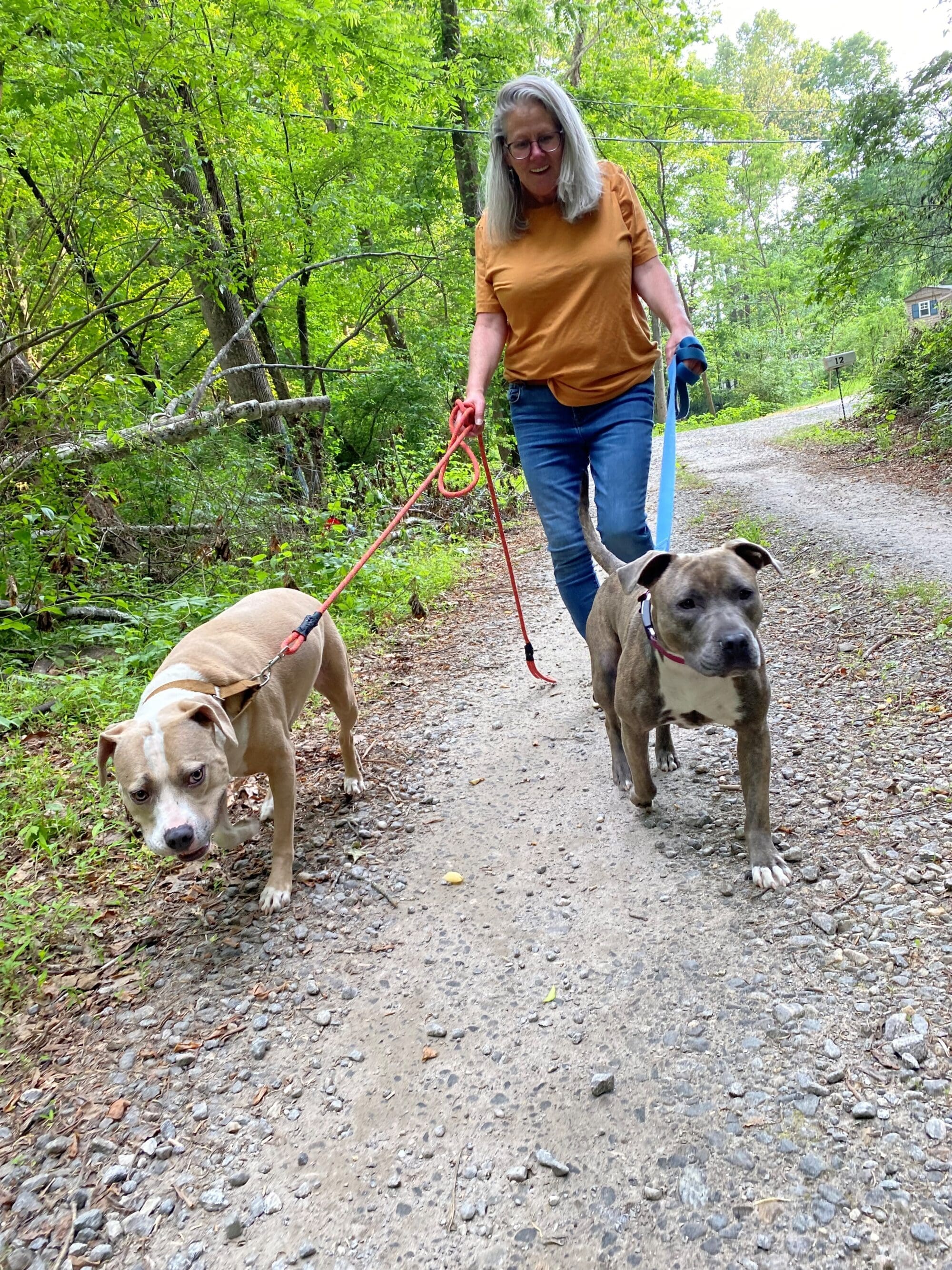 All for the dogs: WithersRavenel employee-owners go the extra mile by ...