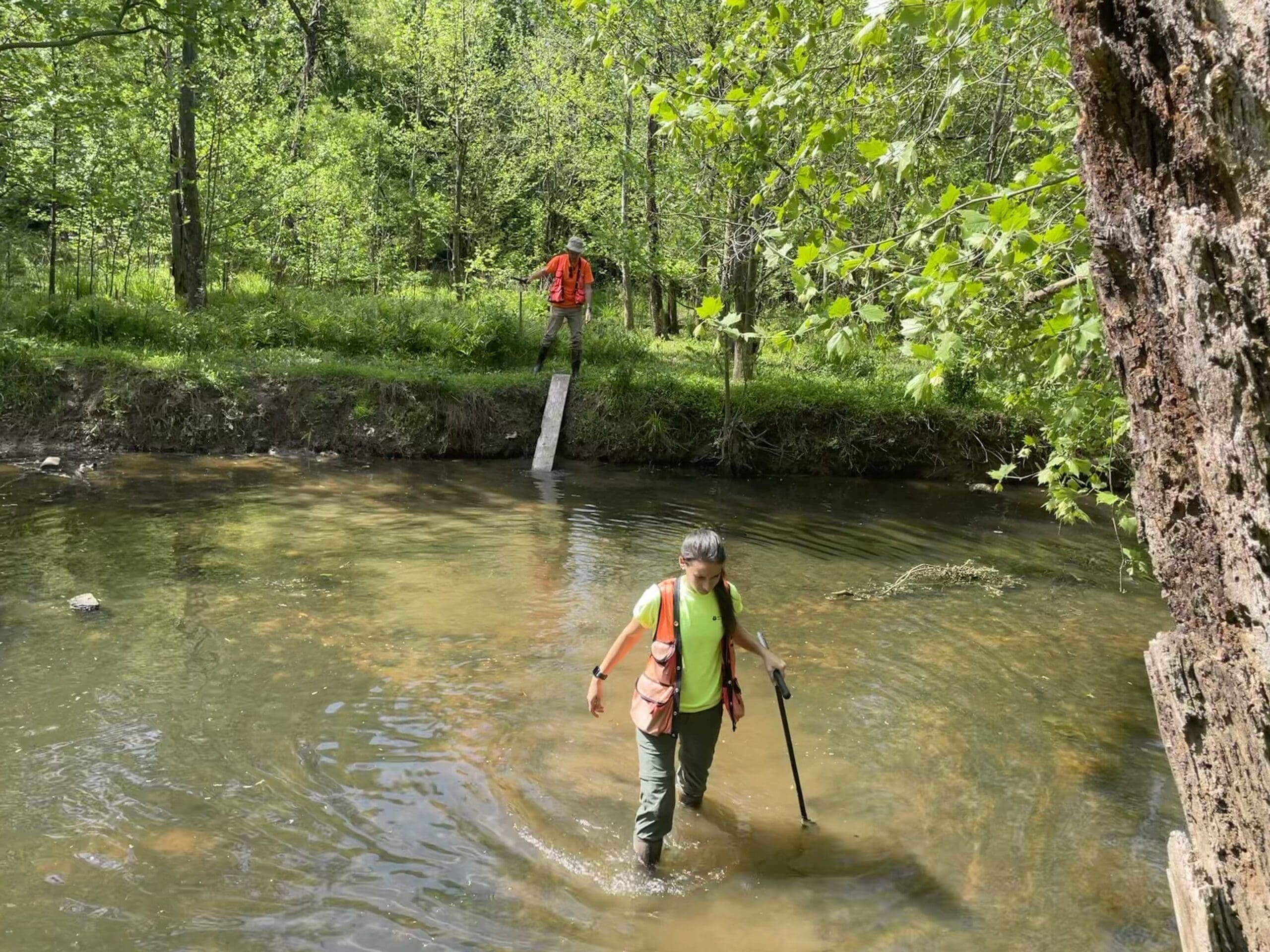 Stream Restoration Services - WithersRavenel