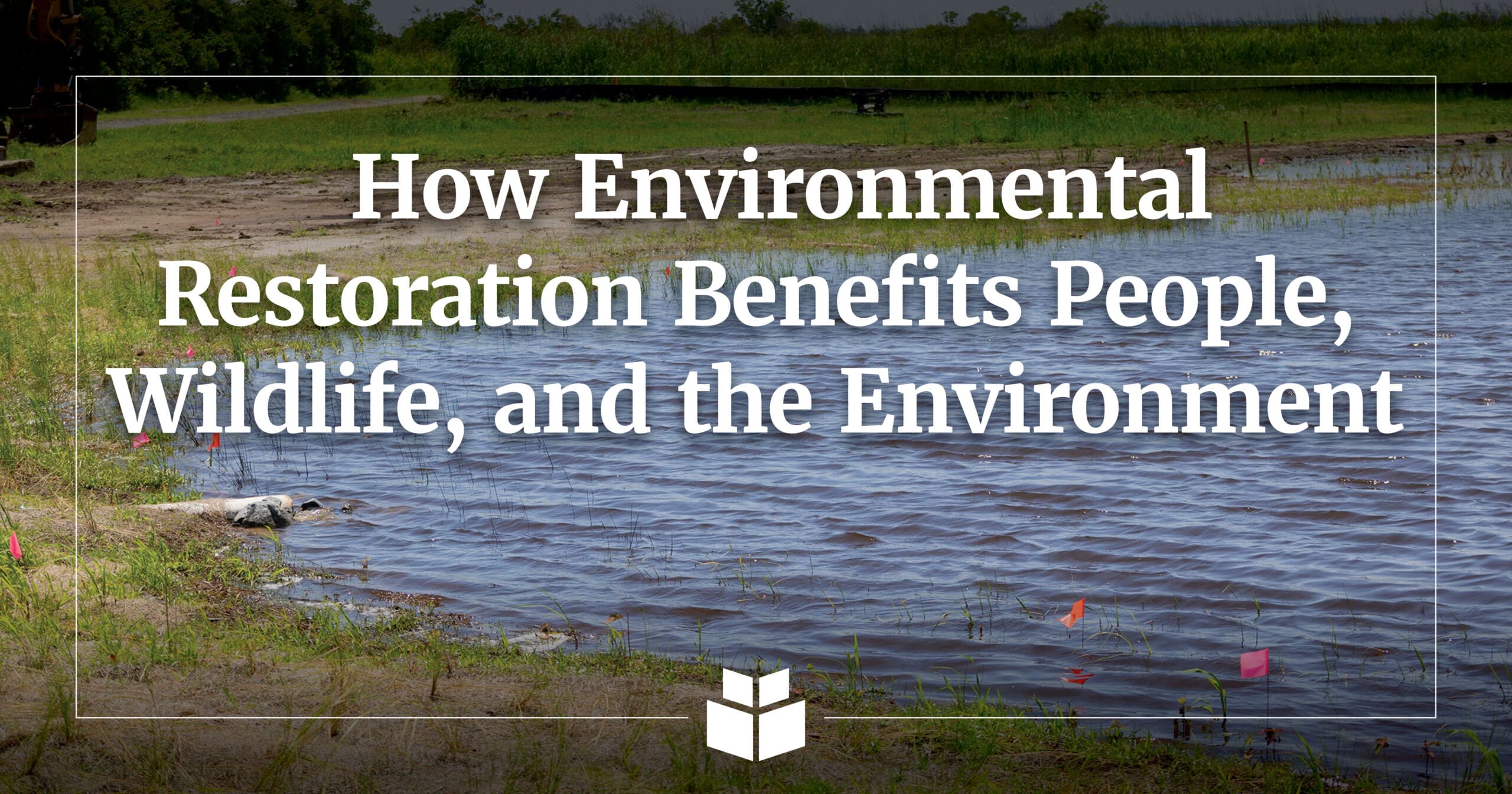 How environmental restoration benefits people, wildlife and the ...